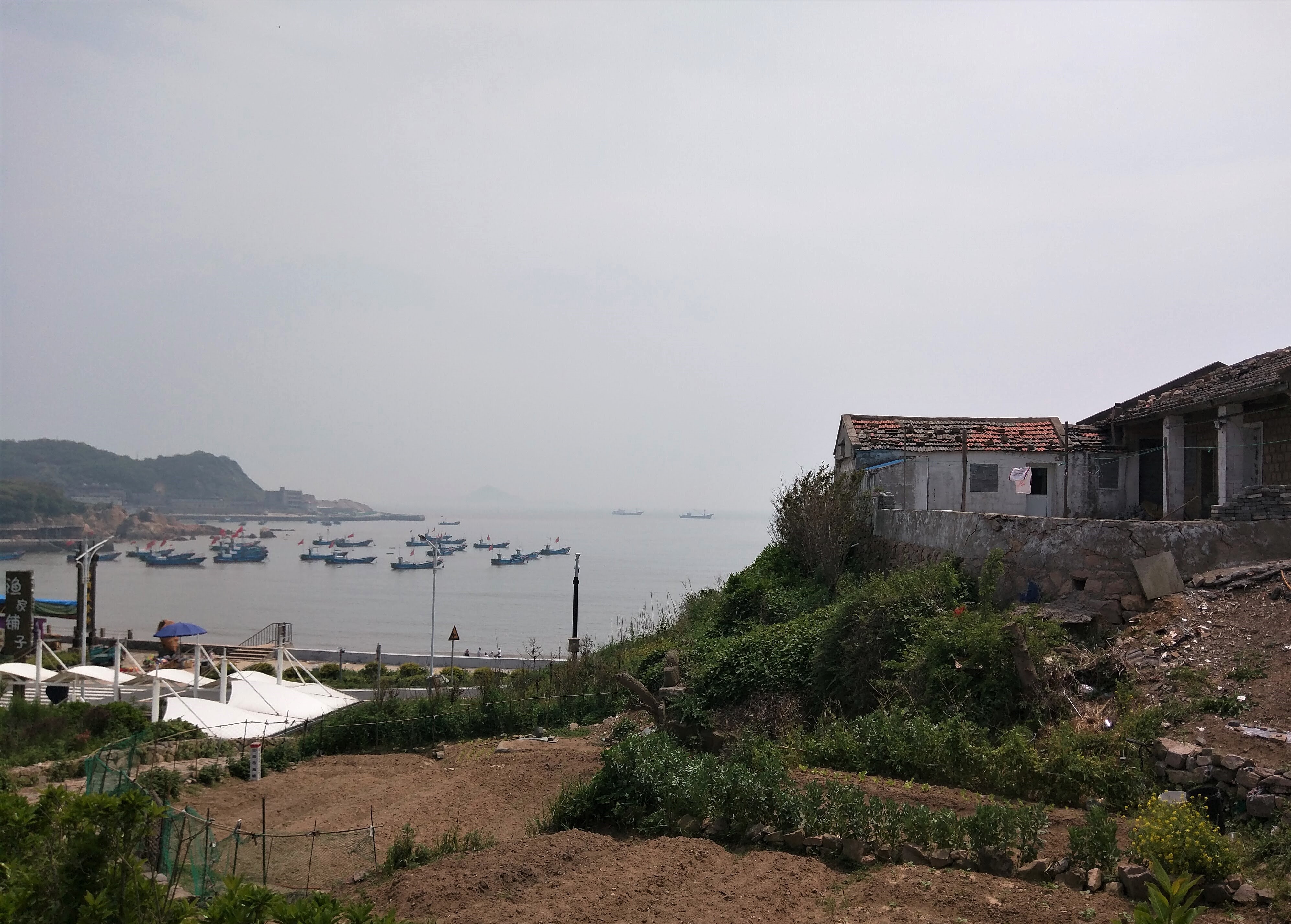 Shengsi Island - Scorpions On Sticks